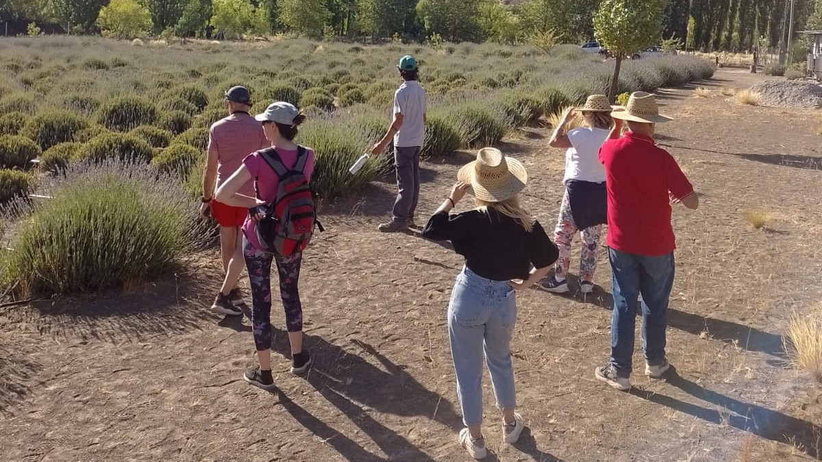 Estas fiestas de fin de año vacacioná seguro en Río Negro | Casa de Río ...